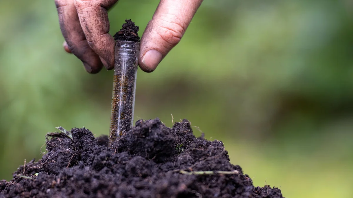 Step-by-Step Guide to Regenerative Agriculture | Stalcup Ag